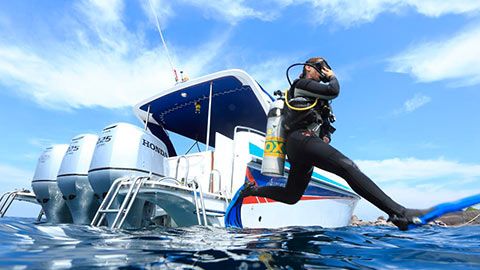 Scuba Diving Boats